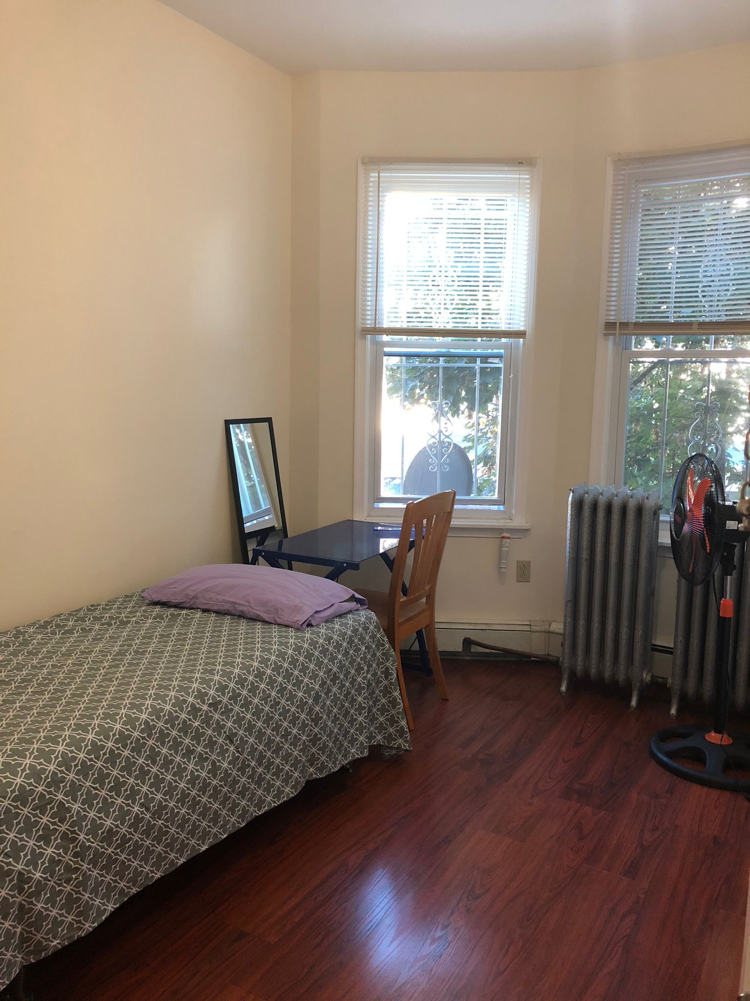 Indian Roommates in New York City | Paying Guest (PG) | Flatmates ...